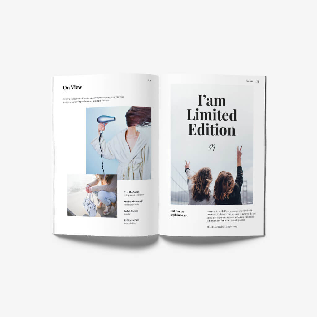 Book cover – Camber Pharmaceuticals