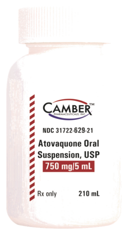 Atovaquone – Camber Pharmaceuticals